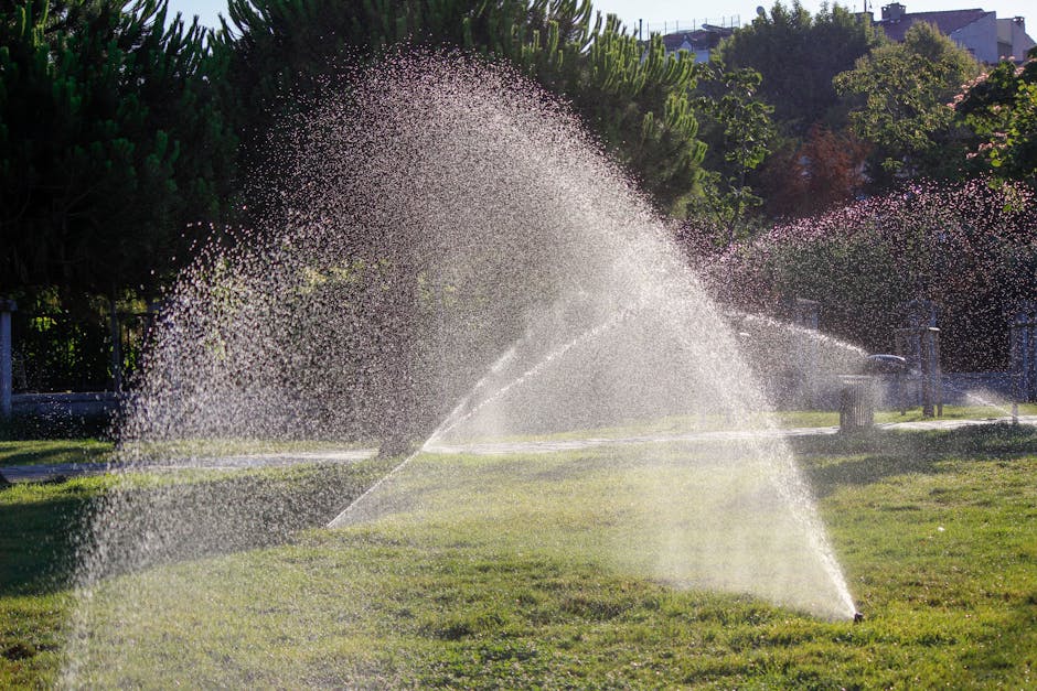 Automatic Sprinkler System: Top 5 Amazing Benefits 2024
